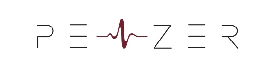 Nýtt logo Peizer – peizer.is